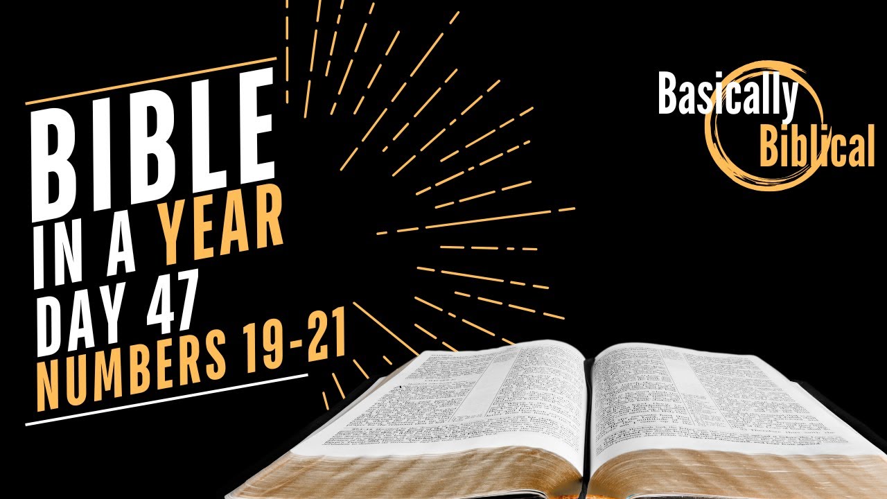 Day 47: BATTLES, Purification, And Provision - Insights From Numbers 19 ...