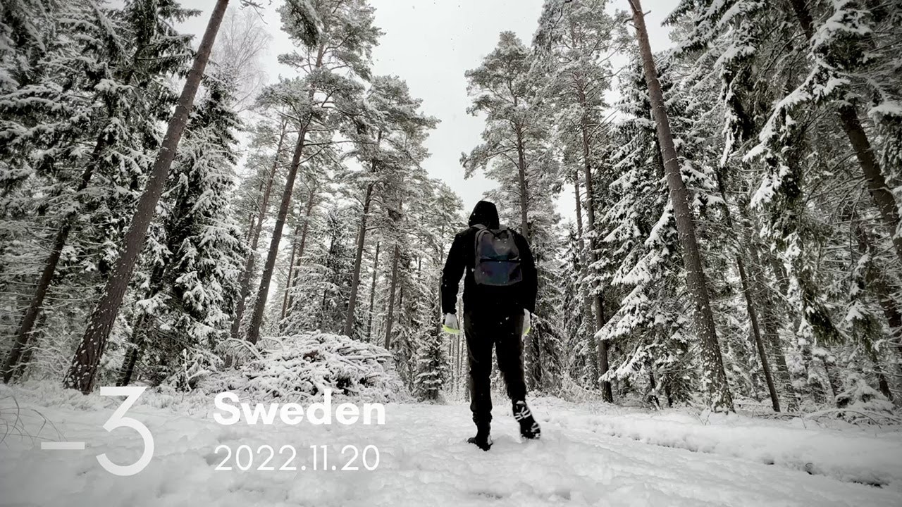 Solo walking under the snow in the forest | Heavy snowfall and very ...