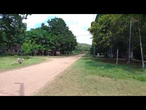quilombo de murumurutuba... família Pinto - YouTube
