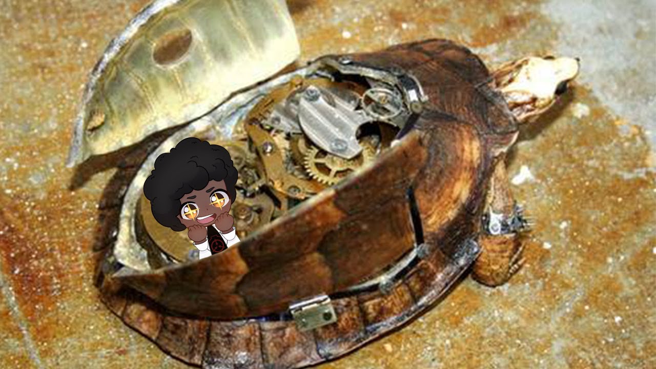 A Whole Legion Of Mechanical Tortoise SCP 1488 YouTube