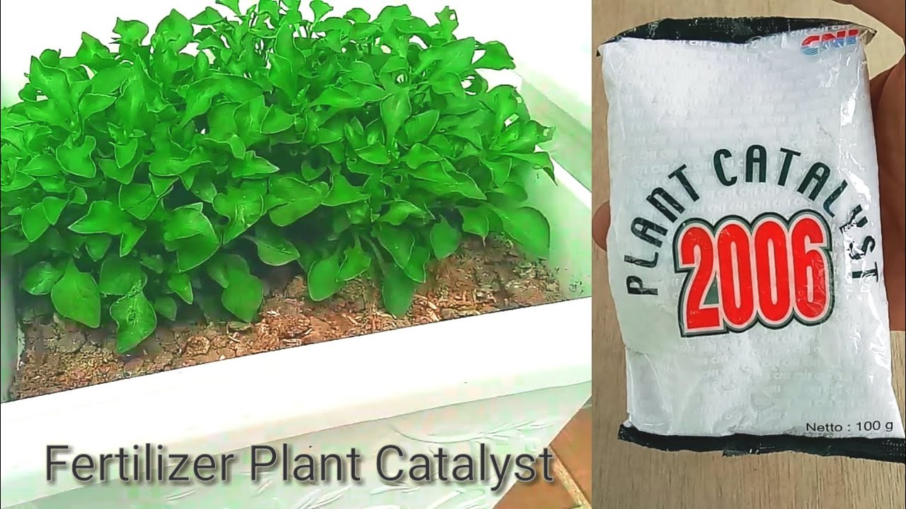 Best CATALYST PLANT 2006 Fertilizer For Any Plant - YouTube