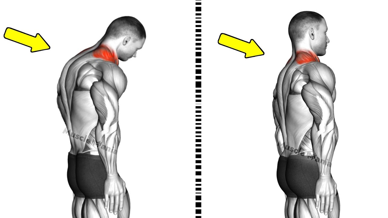 How do you fix curvature in your back? @S7S_WORKOUT - YouTube