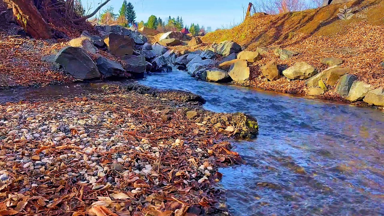 Calming Babbling brook sounds in october, peaceful water stream noise 🍂 ...