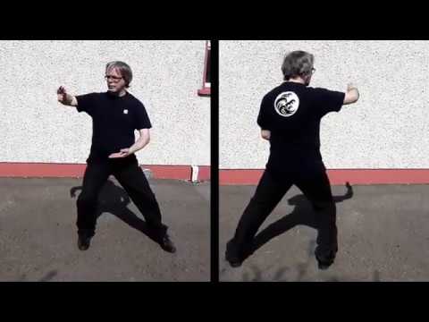 Chen Style 19 Step Tai Chi - Step 12 - Cloud Hands - YouTube