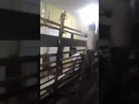 Pelakor ketauan lagi ML......