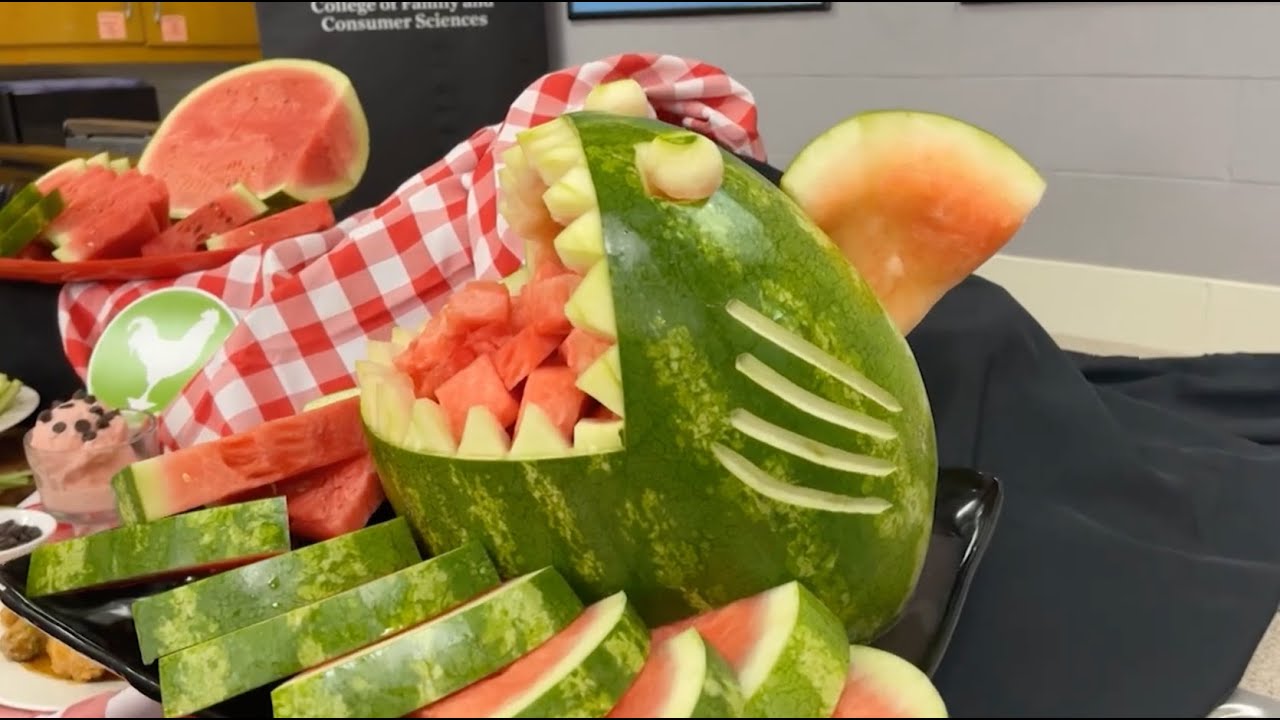 Meals from the Field: Celebrating National Watermelon Month - YouTube