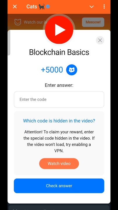 Cats Blockchain Basics Code | Cats airdrops | Cats Code #blockchain #telegrambot - YouTube