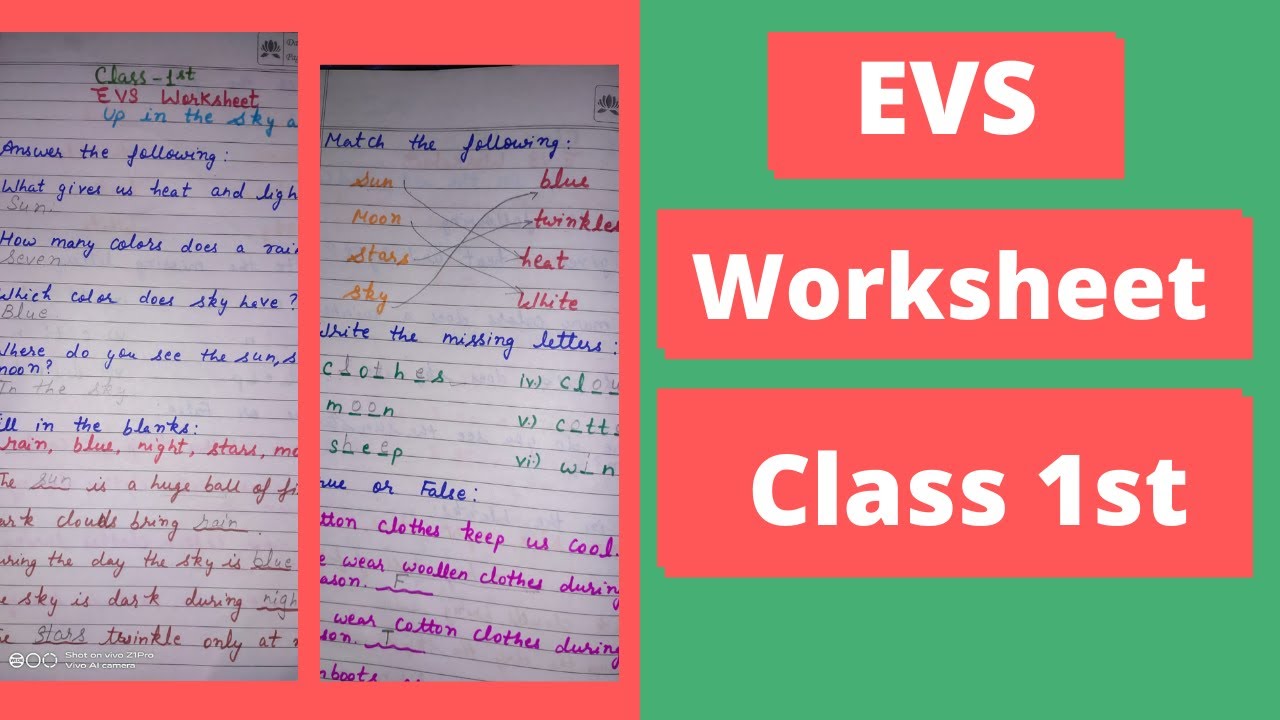 class 1st evs worksheet/ evs worksheet of class 1 - YouTube