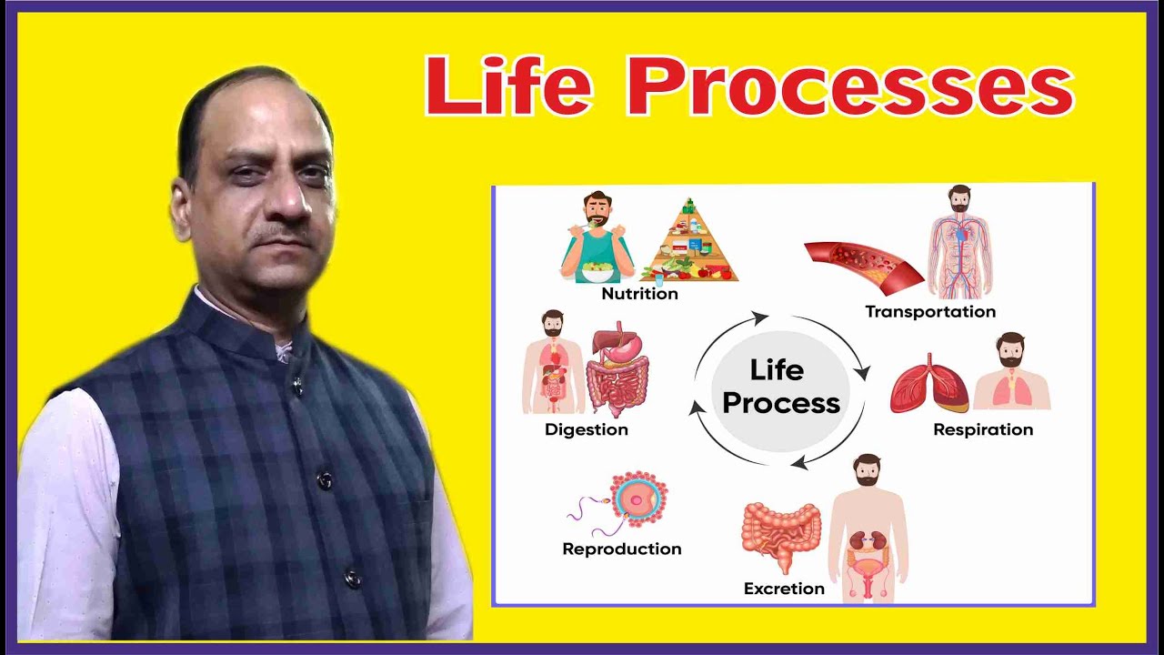 10 Science | Life Processes Class 10 full Chapter | Class 10 Bio ...