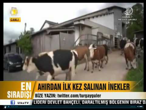MUSTAFA ALTINOKLAR'A MANİDAR GÖNDERME
