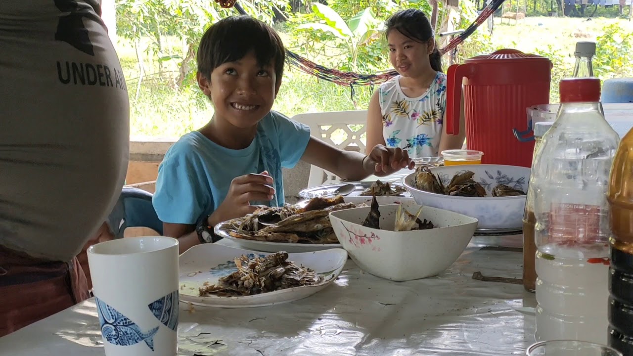 DAY 4 Sa Pagpupunla / A DAY | Kalacbay - YouTube