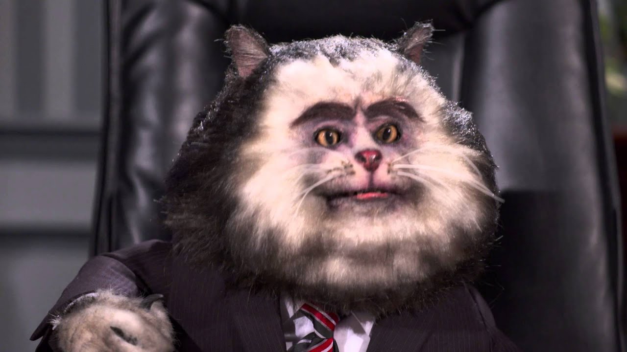 Charlotte Metro Credit Union 2015 Super Bowl Commercial – Fat Cat - YouTube