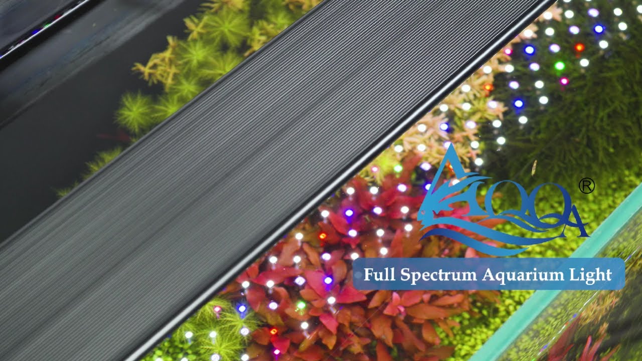 AQQA Aquarium Light-----Full Spectrum LED Fish Tank Lights - YouTube