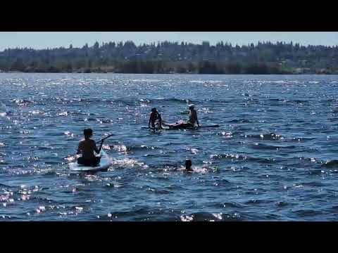 Waverly Beach Park