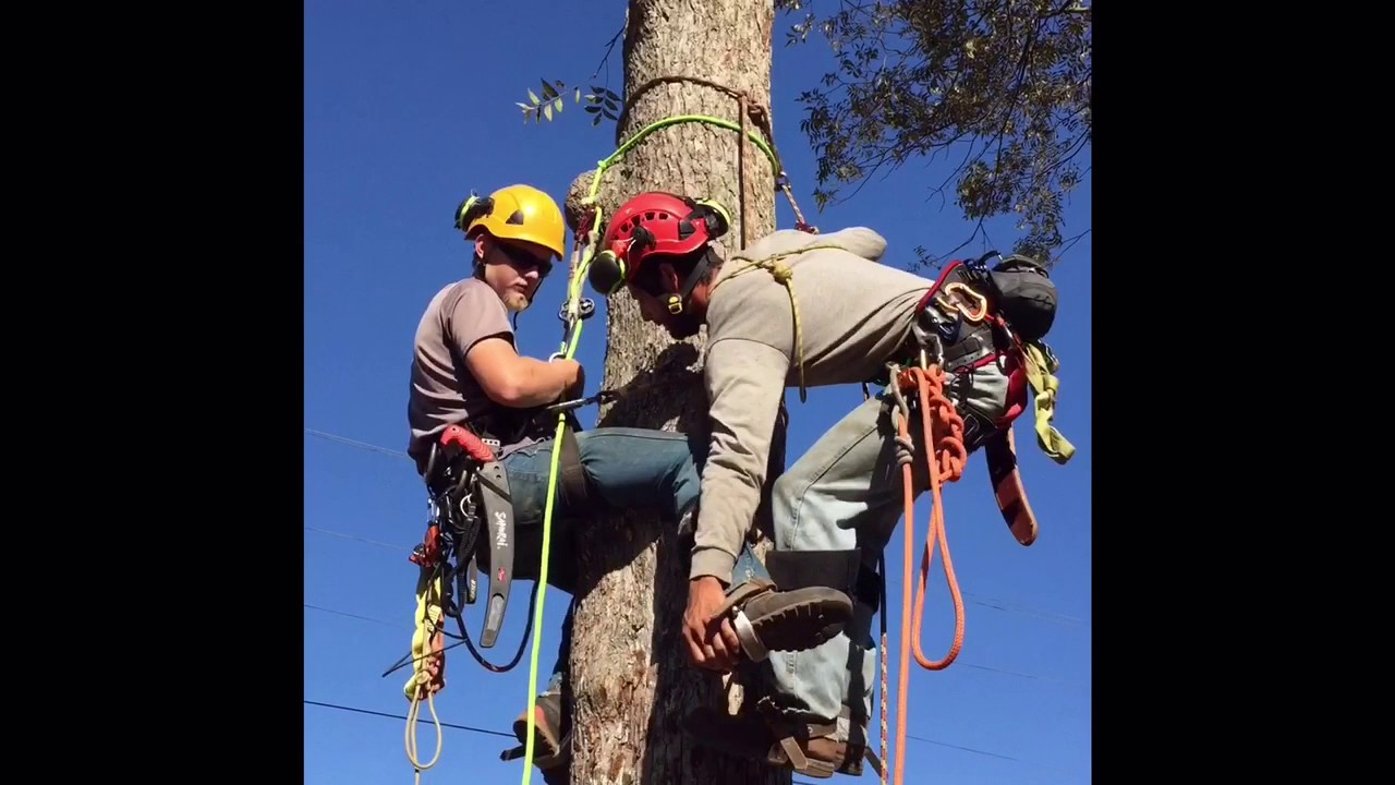 Spar rescue - YouTube