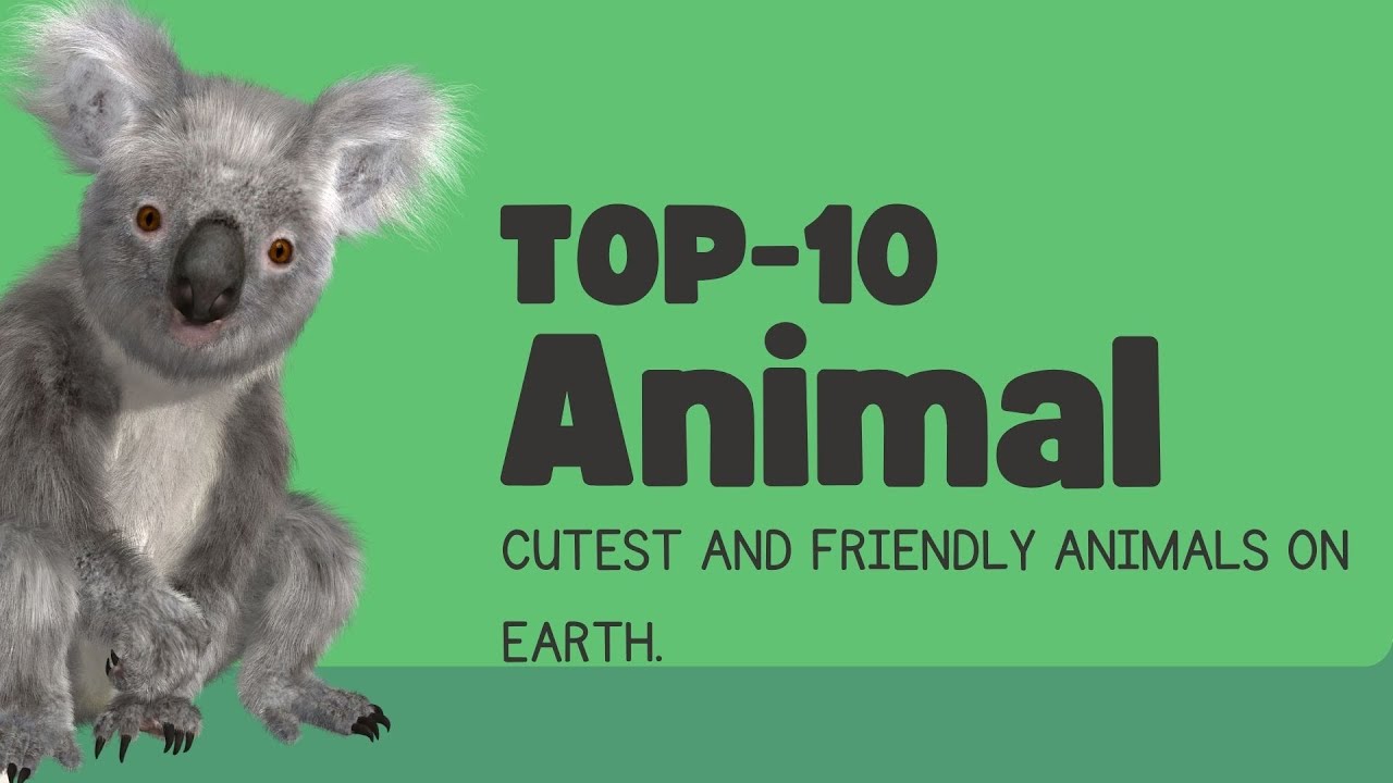 TOP-10 CUTEST AND FRIENDLY ANIMALS ON EARTH 🇺🇲 - YouTube