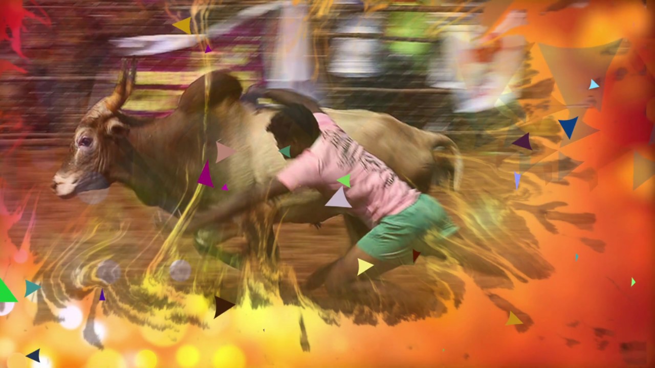 Pongal song I Tamil Album Song I Super Singer Suganthi I Nambai Bala ...