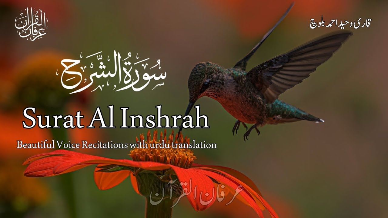 Surah Al Inshrah سورة الانشراح | beautiful Quranic Recitation | القرآن ...