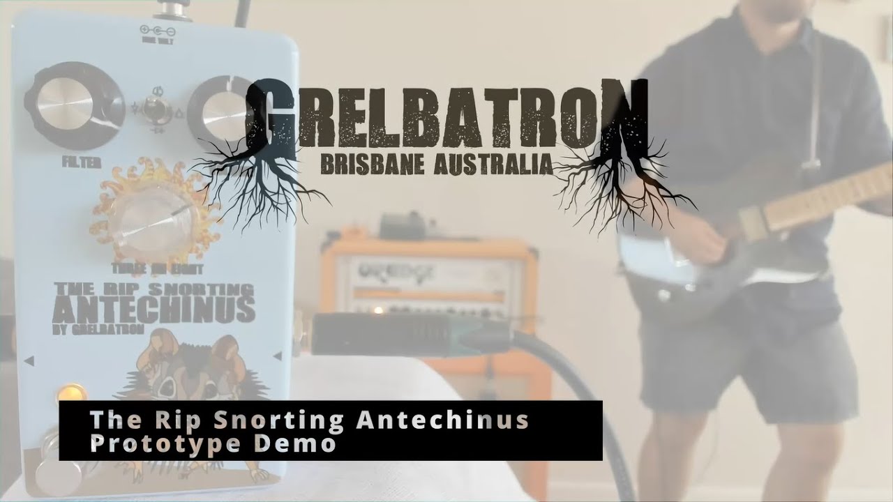 Grelbatron | The Rip Snorting Antechinus - YouTube