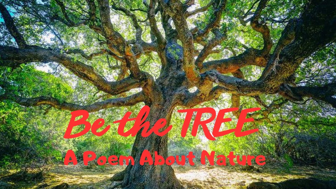 “Be the Tree” - A POEM about nature. - YouTube