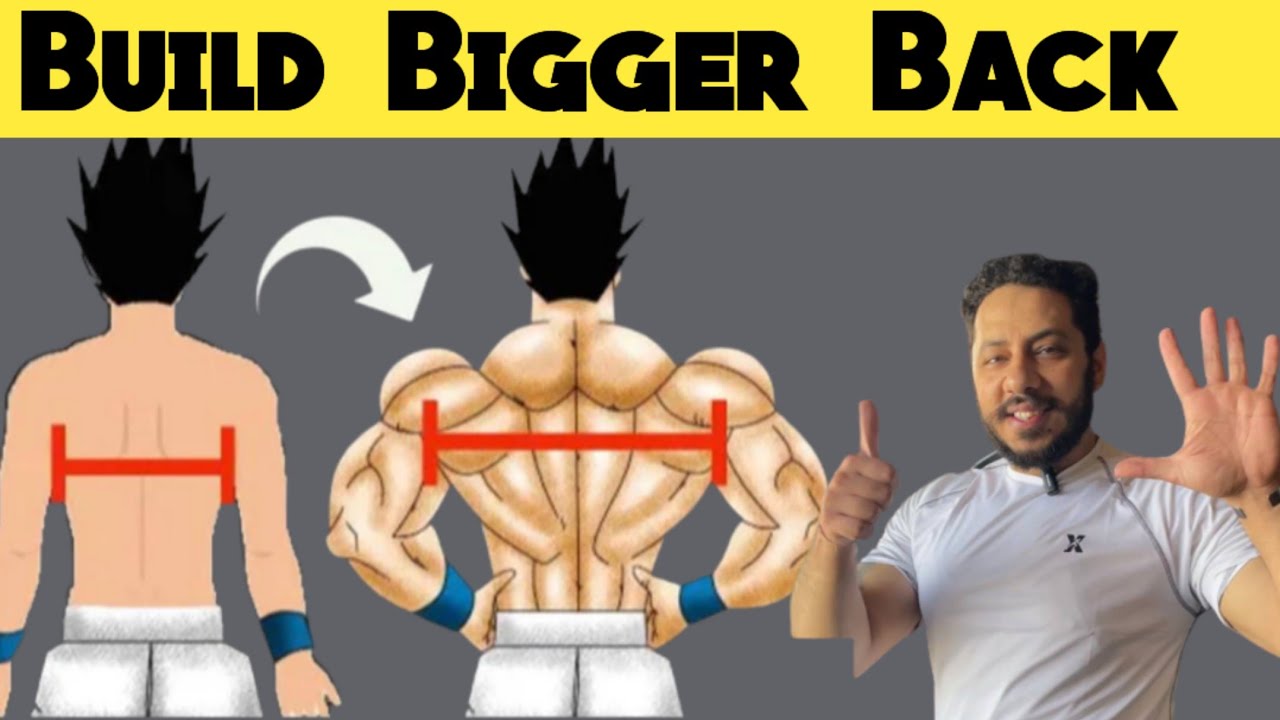 Complete Back workout || Top 6 Exercise to Build Big Back || (हिंदी में ...