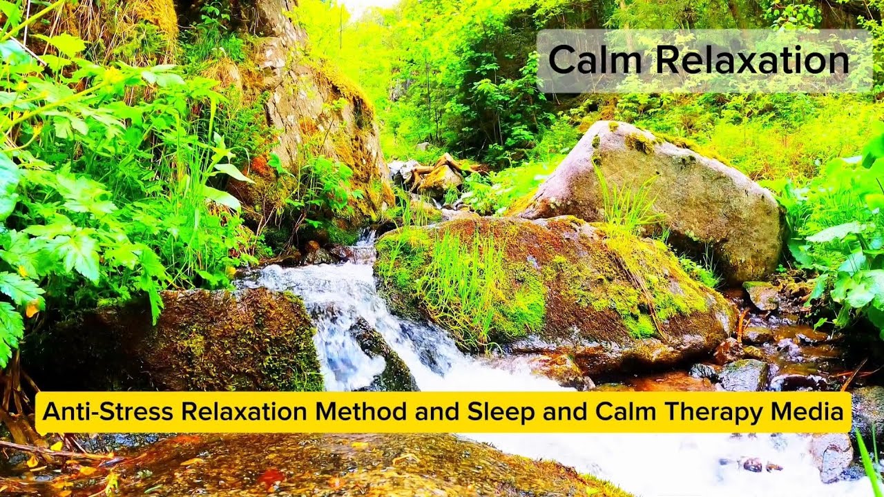 Anti-Stress Relaxation Method and Sleep and Calm Therapy Media - YouTube