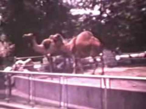 1979 07 Lou Zoo Terry and Rob - YouTube