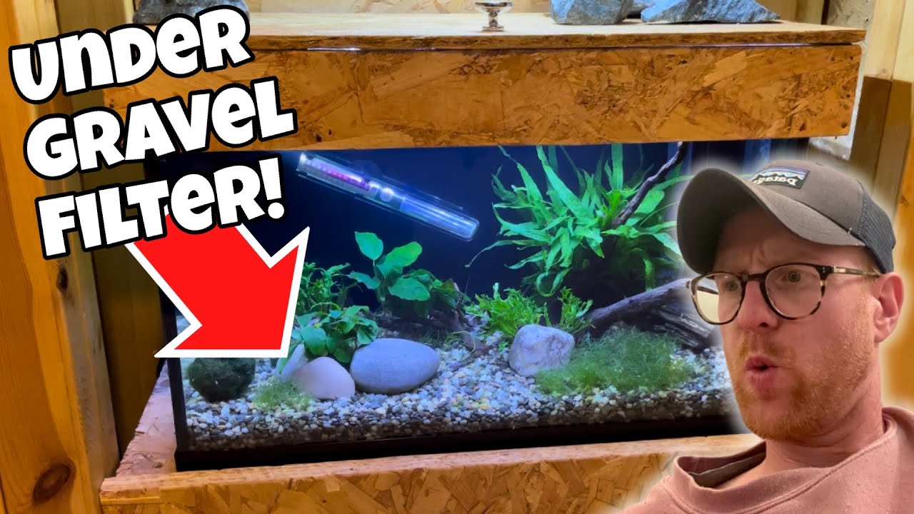 Aquascape Tutorial: ‘10 Gallon’ Planted Aquarium SETUP! *low tech - YouTube