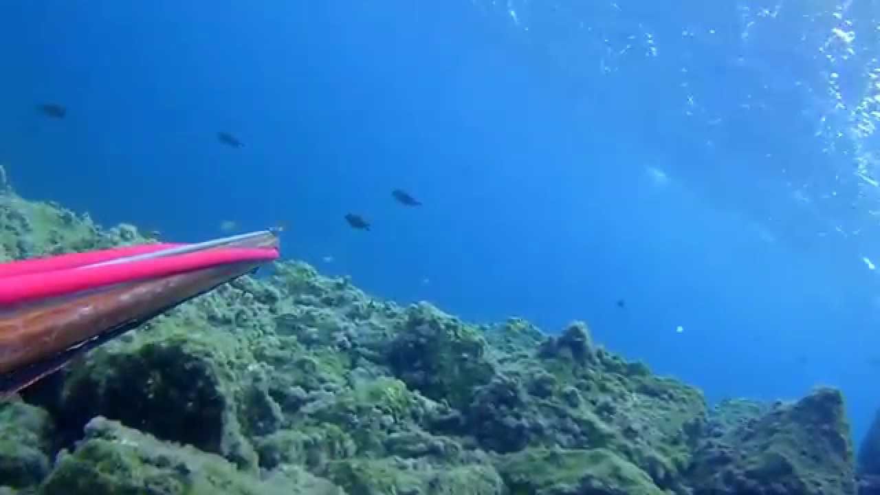 Çupra Zıpkınavı İzmir (Sea Bream / Dorade / Orata Spearfishing) - YouTube