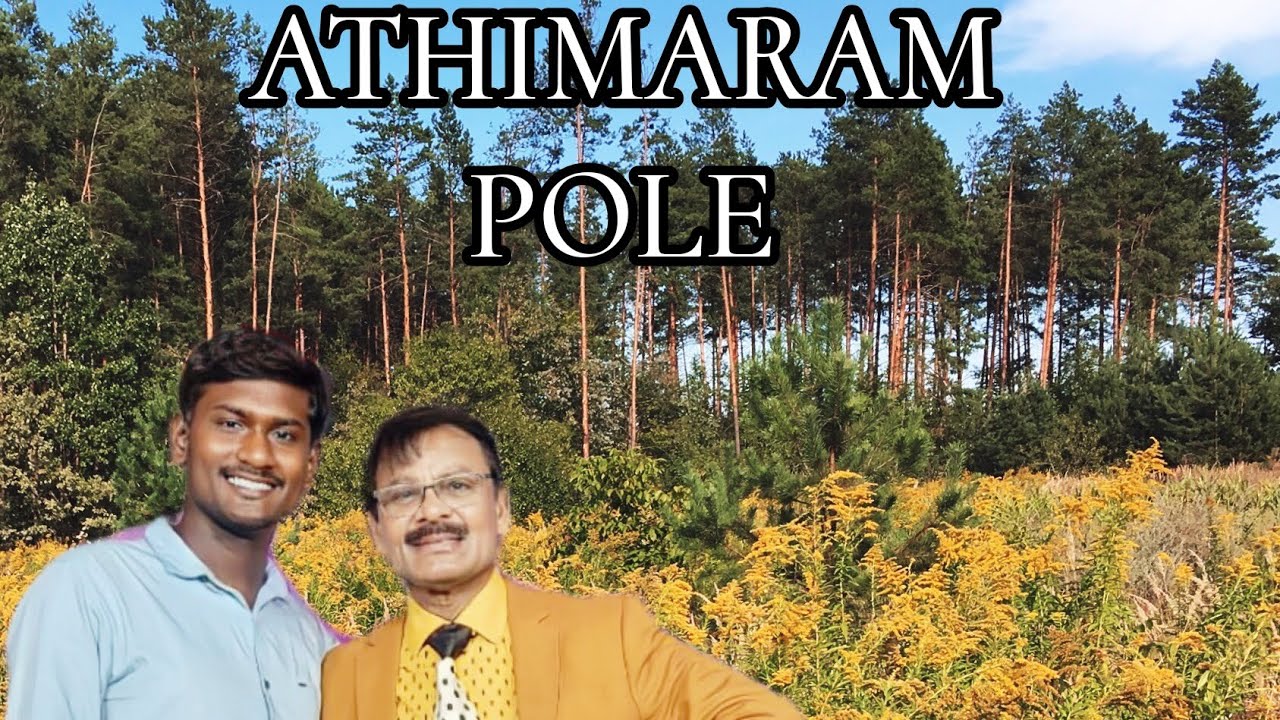 ATHIMARAM POLE YETHANAYO TAMIL SONG. - YouTube
