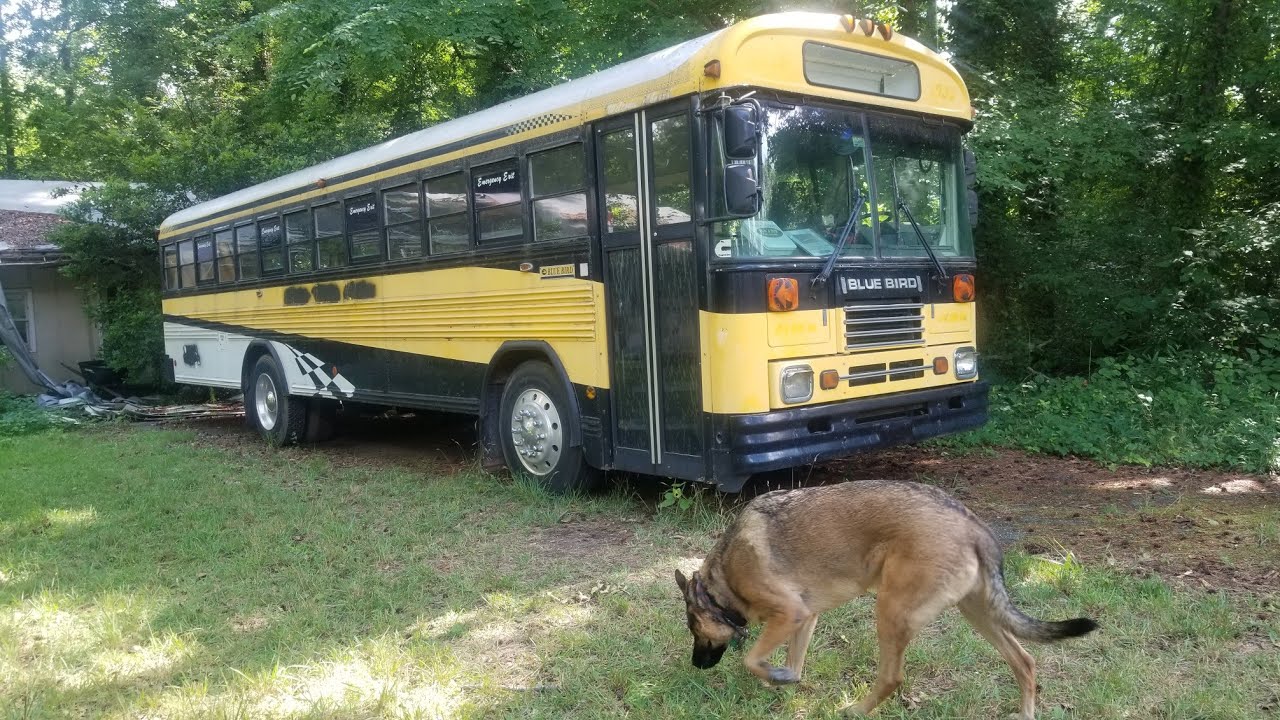 Skoolie Conversion Day 41 Ceiling Framing Done! - YouTube