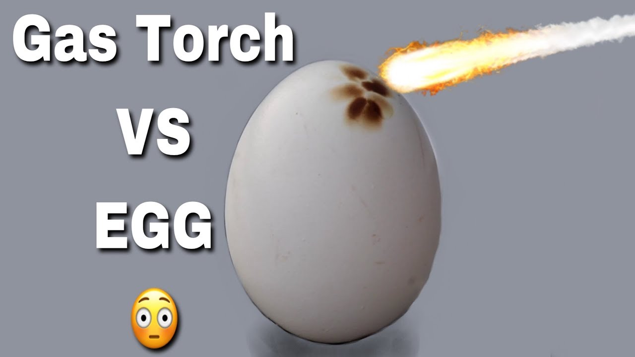How Fast You Can Make EGG by GAS TORCH - YouTube