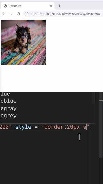 Adding a border to an image in HTML😎| Web development #programming #webdevelopment #html - YouTube
