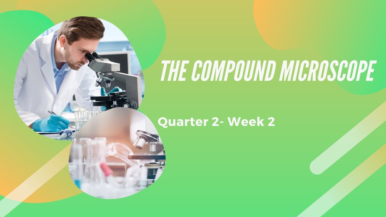 Grade 7- The Compound Microscope - Quarter 2-Week 2 ( DepEd ) - YouTube