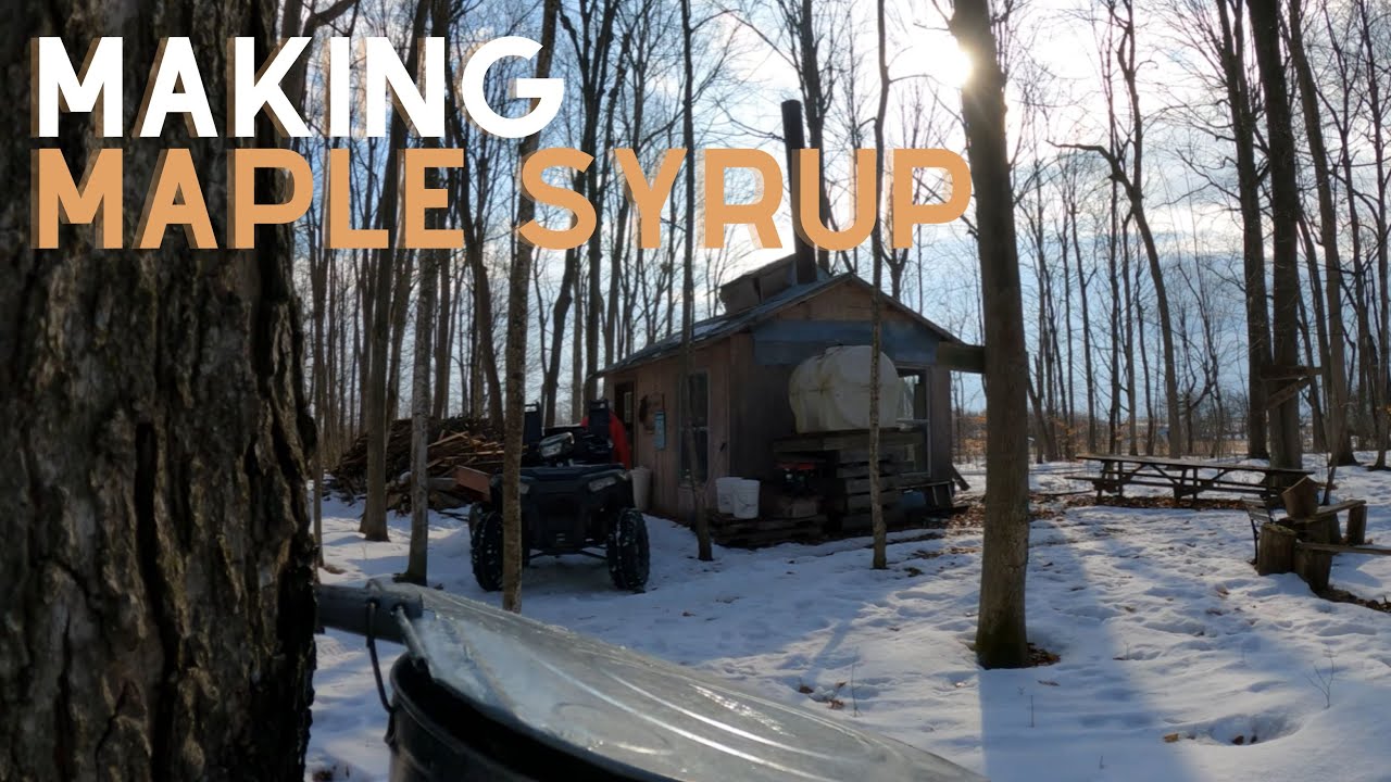 Making Maple Syrup: The Sap Whisperer of Athens - YouTube