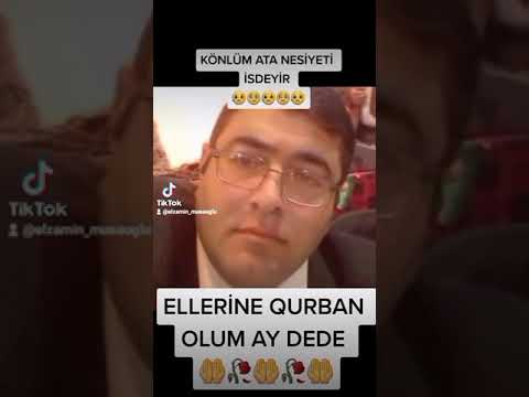 TAMADA ELZAMİNİN YENE ÜREYİ ATA SERİNE KÖKLENDİ