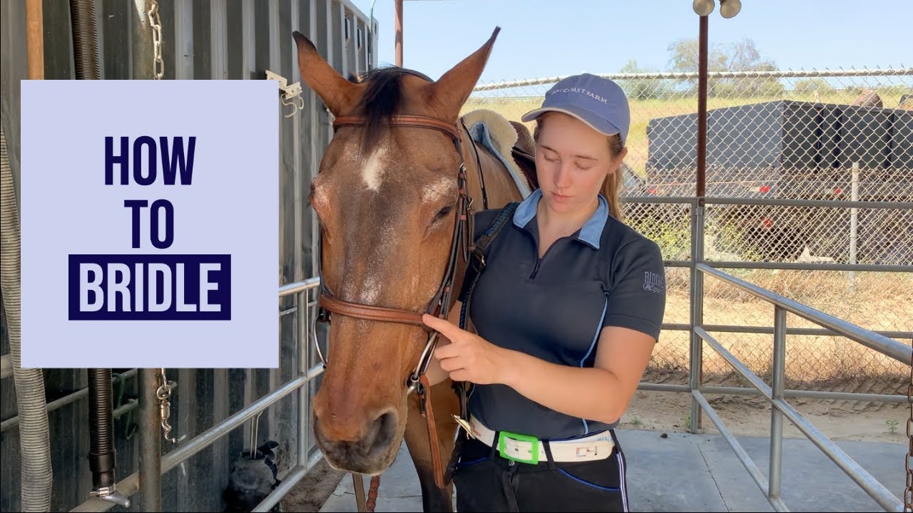 How to Bridle - YouTube
