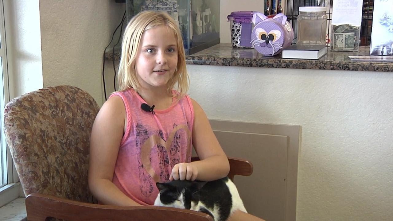 Courageous Cat Battles Rattlesnake to Save Girl's Life - YouTube
