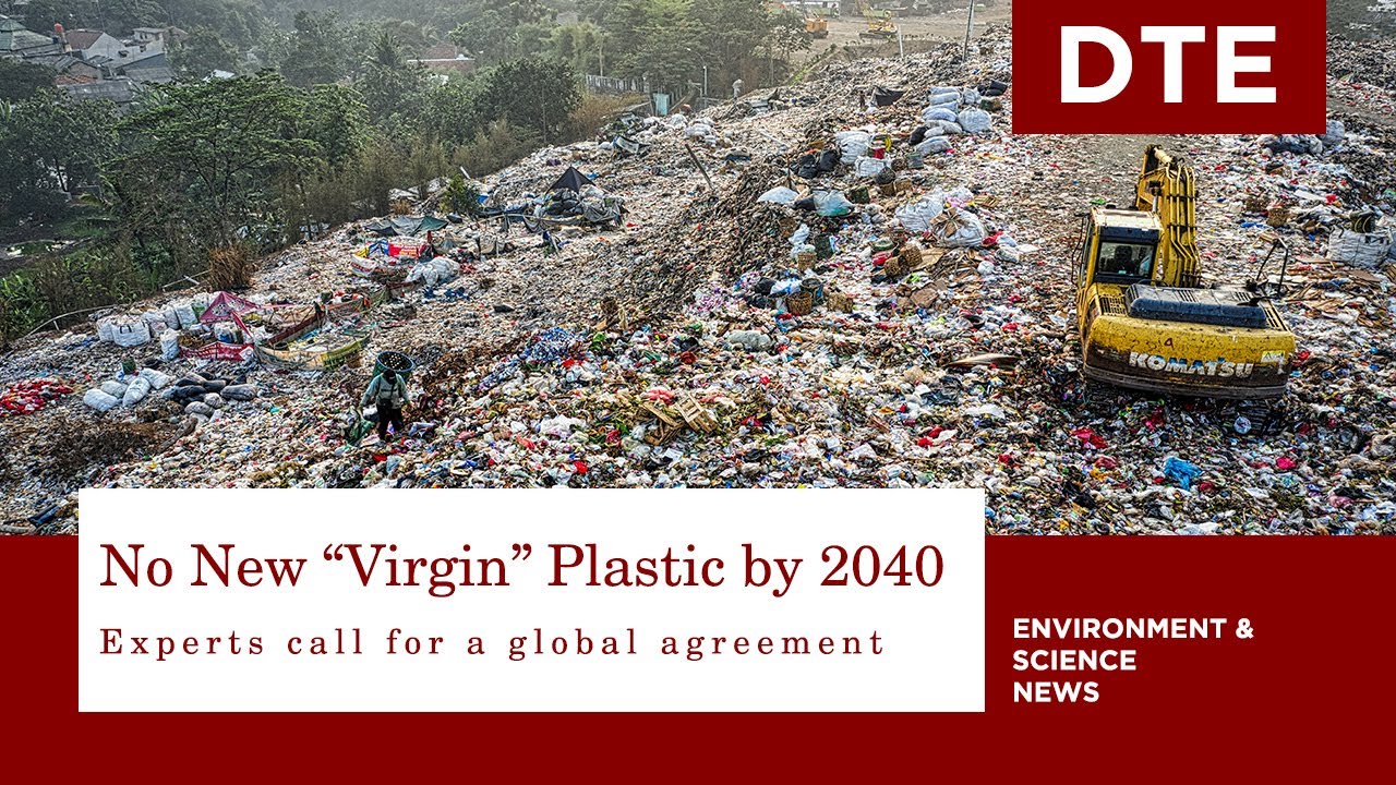 Experts calls for a global agreement to end the production of “Virgin ...