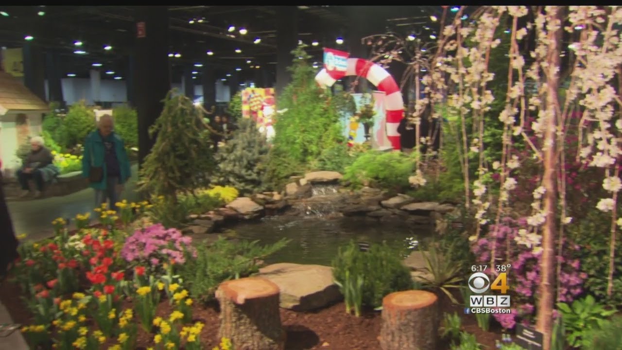 Flower Show Boston 2017 | Best Flower Site