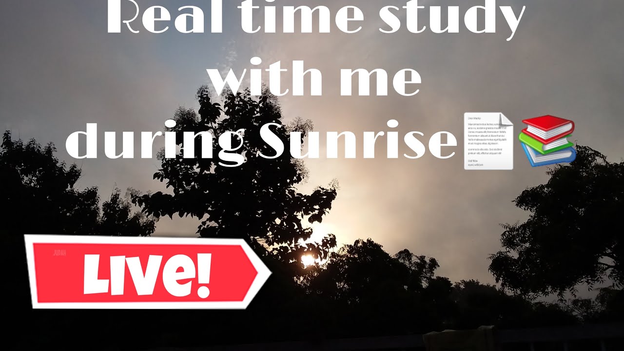 Real time study with me during Sunrise/with music/with background noise ...
