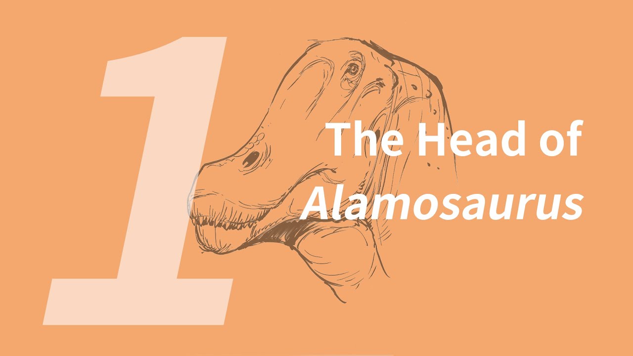 Samuel the Alamosaurus 1: Head | Learn to Draw Dinosaurs with ZHAO ...