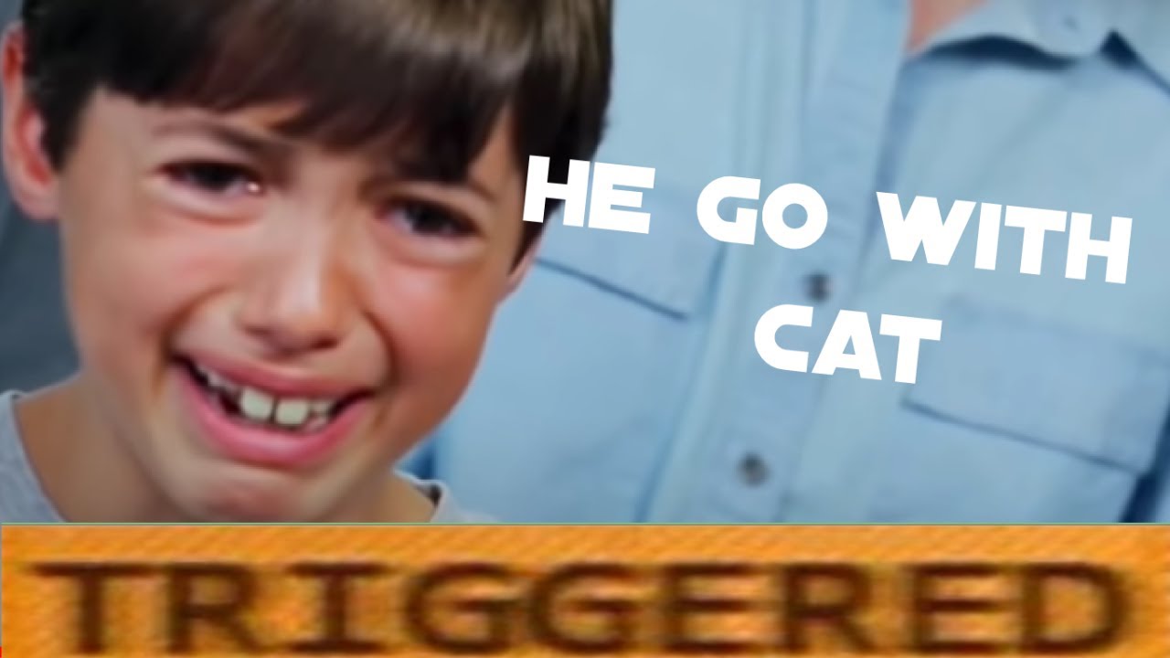 i will go with that cat - YouTube