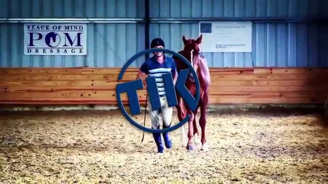 Tik Maynard - Why Natural Horsemanship? - YouTube