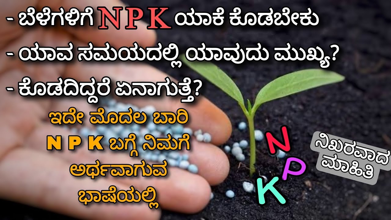 Role of NPK - Primary Nutrients | When and how much? NPK ಪೋಷಕಾಂಶಗಳ ...