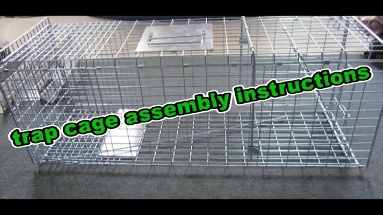 Galvanized Collapsible Animal Trap Cage: Assembly and Product ...