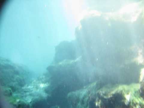 Little Devil Spring (At Ginnie Springs) - YouTube