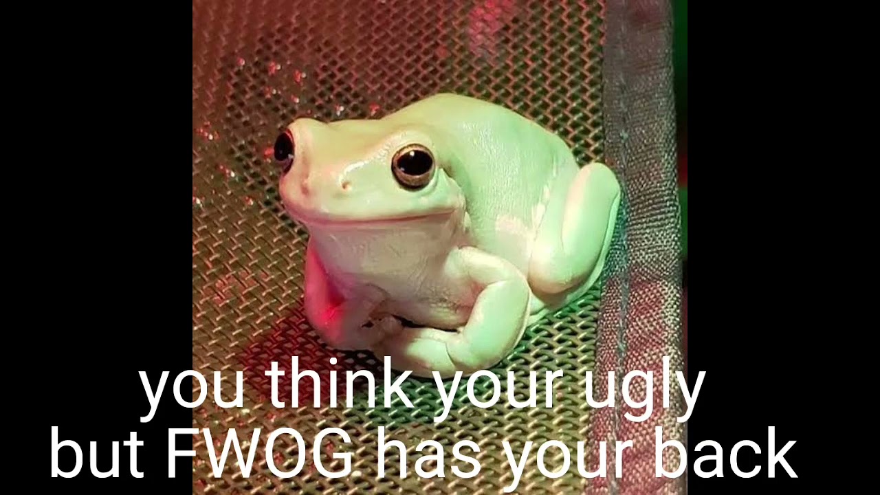 Official FWOG mental health check - YouTube