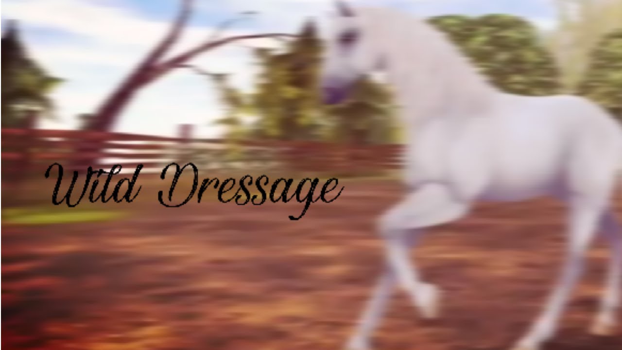 Wild Dressage - The Lusitano [sso] - YouTube