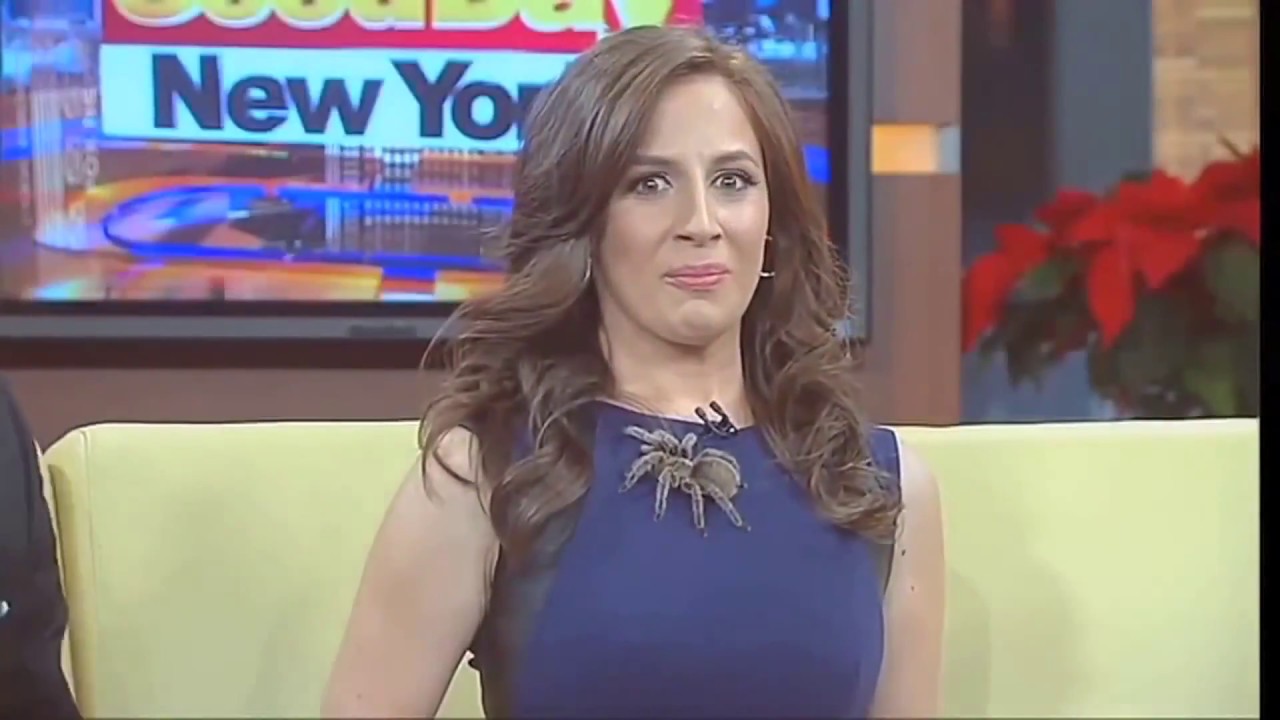 Awkward News Moments And Bloopers - YouTube